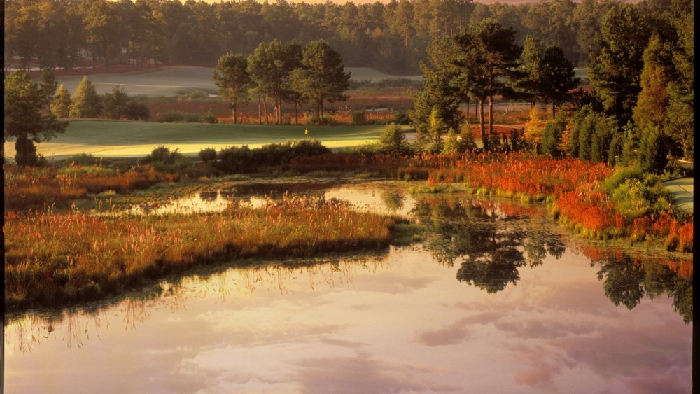 No. 8 | Golf Courses & Tee Times | Pinehurst Resort