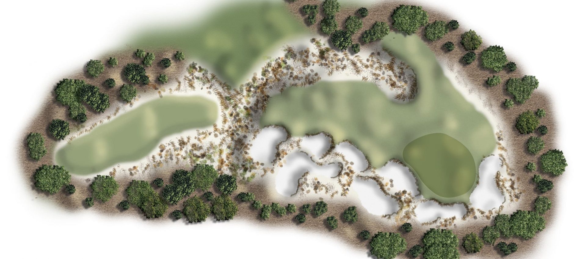 No. 4 | Golf Courses & Tee Times | Pinehurst Resort