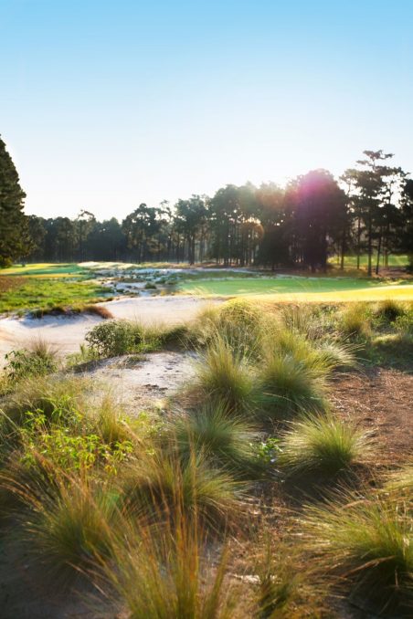 The Story Behind Pinehurst No. 3's Unique Pin Flags | Pinehurst Resort
